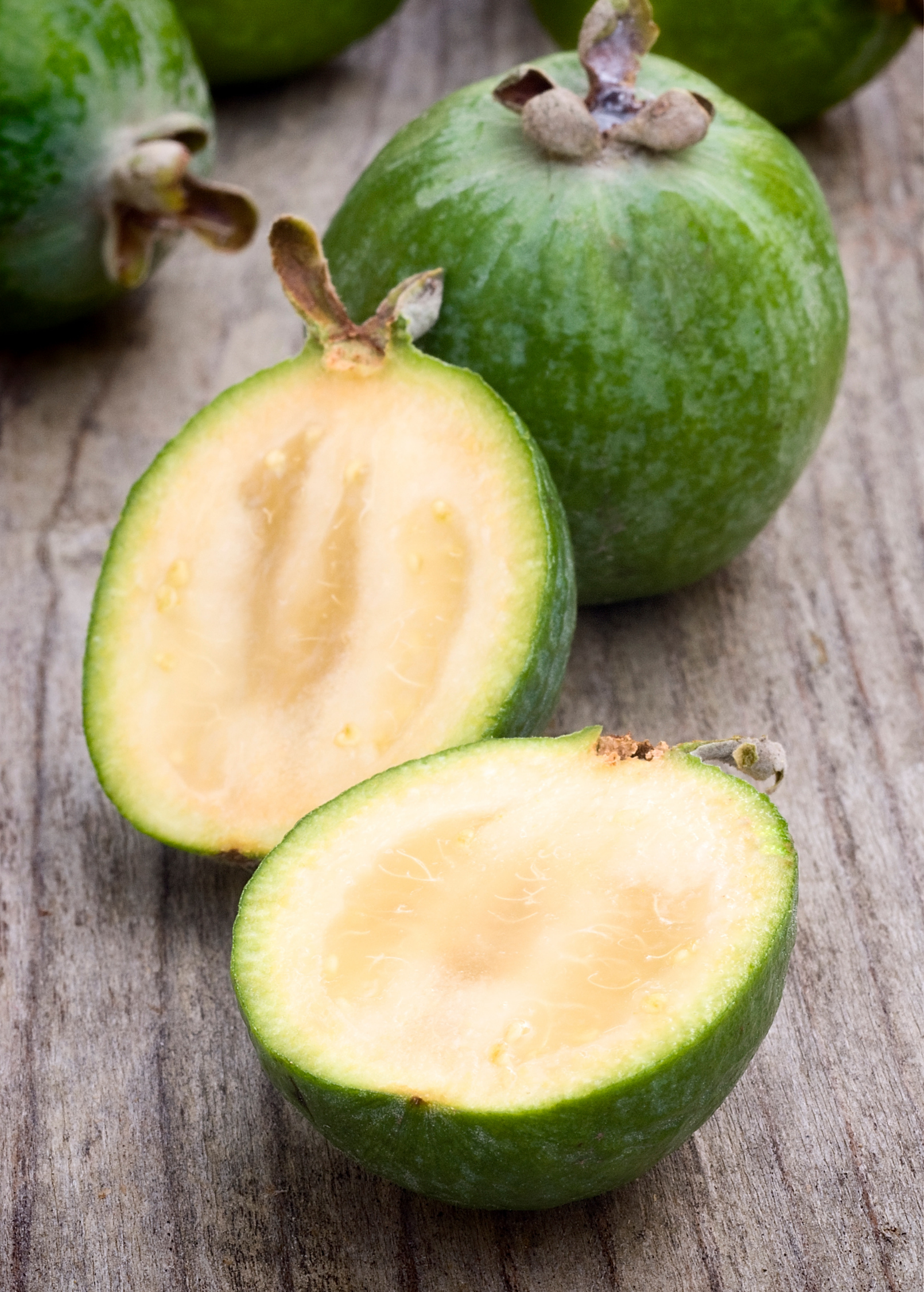 Pineapple Guava (Feijoa sellowiana) – Gourmet Harvest