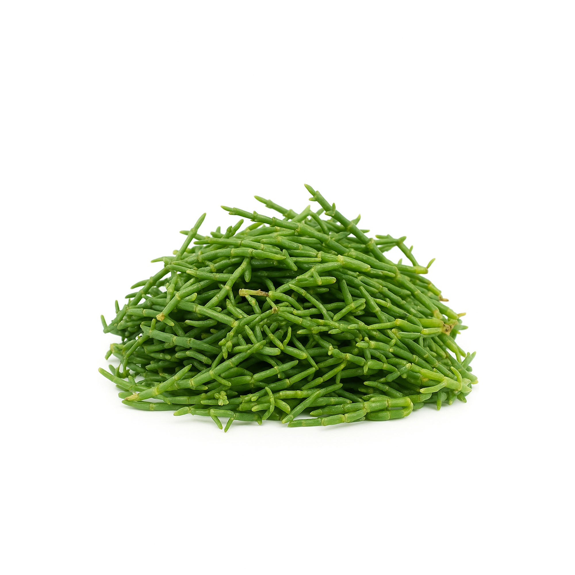 Fresh Wild Sea Beans – Gourmet Harvest